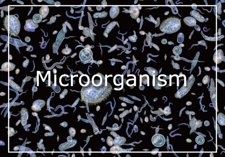 Micro Bio Space LAB | IDDK Co., Ltd.