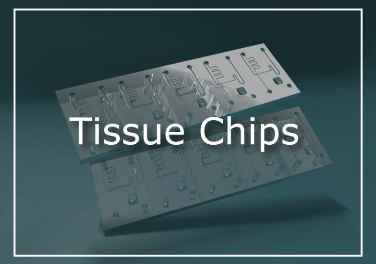 Micro Bio Space LAB | IDDK Co., Ltd.